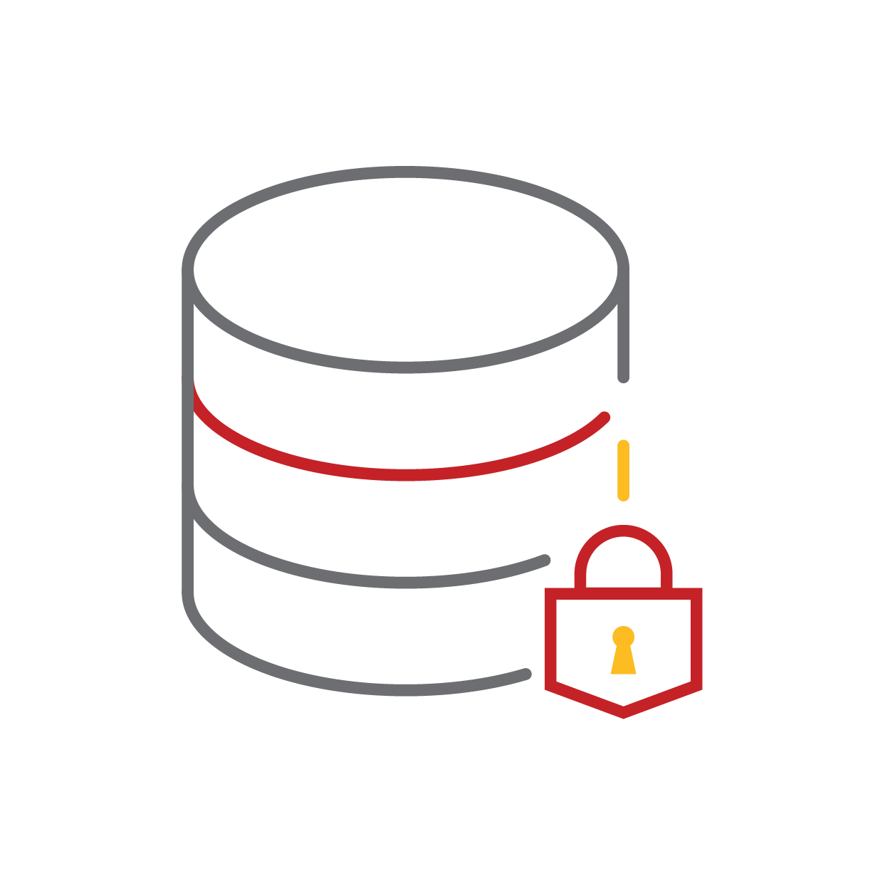 Database Security Assessment - Expertise VAPT Audits